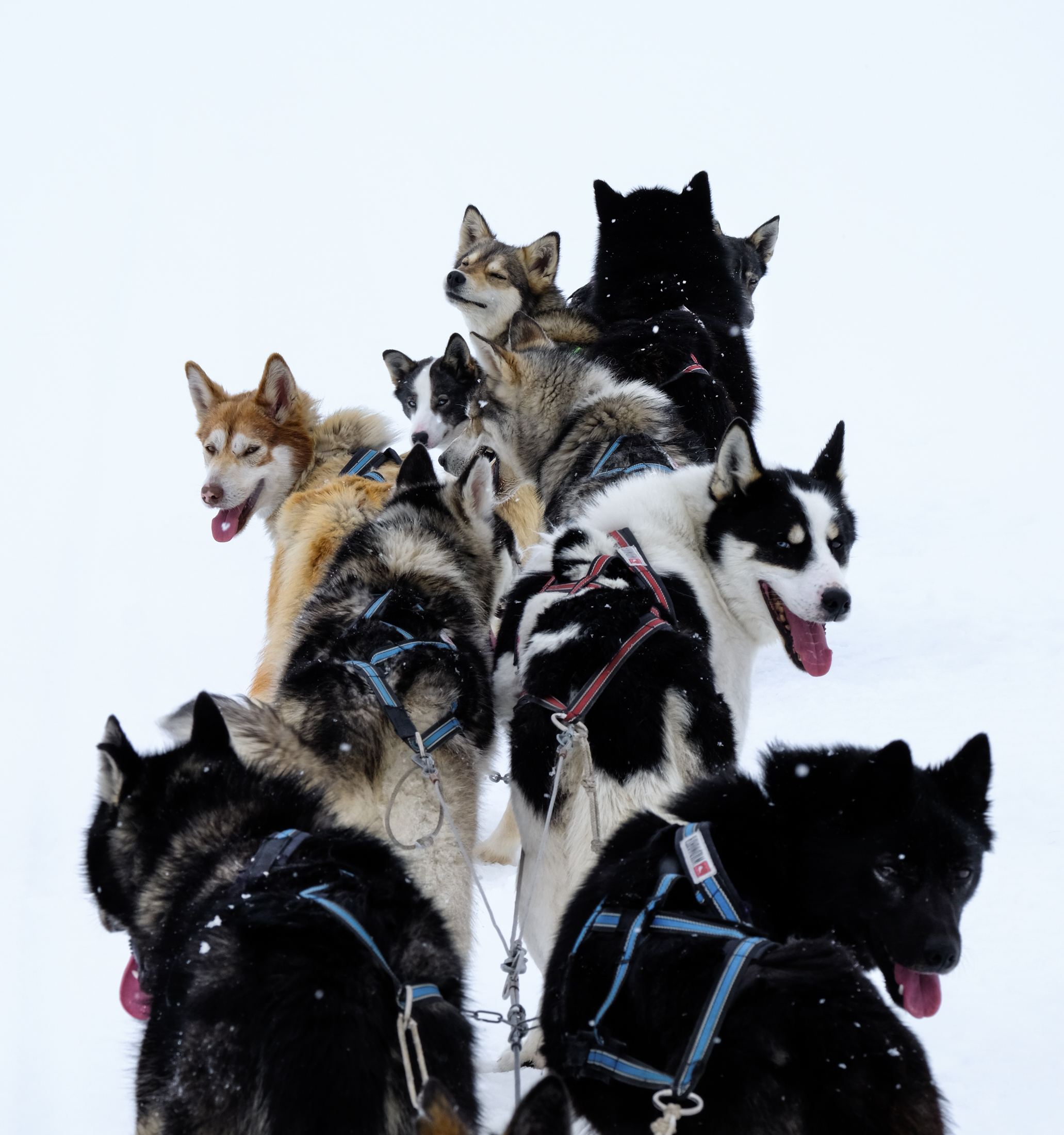 Fujifilm Corporate Blog | tommy-simonsendscf0131